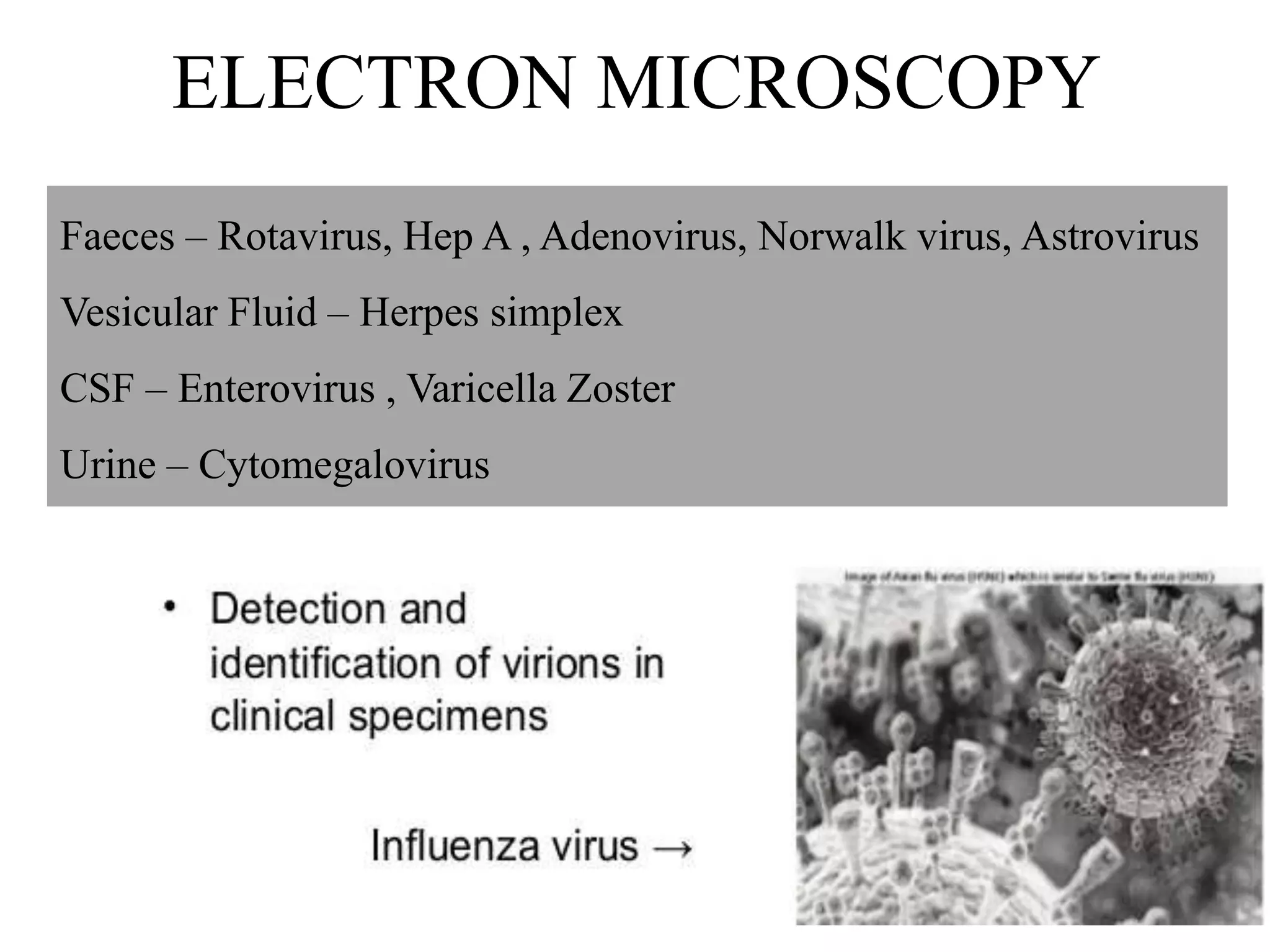 Lab diagnosis of viral infections | PPTX