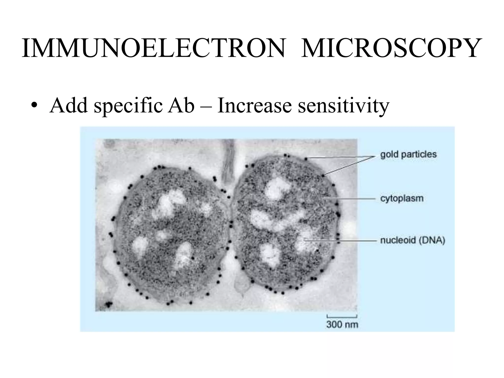 Lab diagnosis of viral infections | PPTX