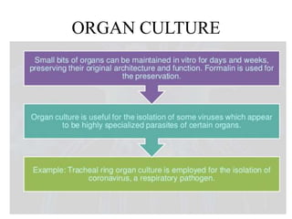 Lab diagnosis of viral infections | PPTX