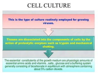 Lab diagnosis of viral infections | PPTX