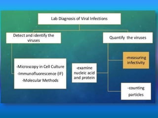 Lab diagnosis of viral infections | PPTX