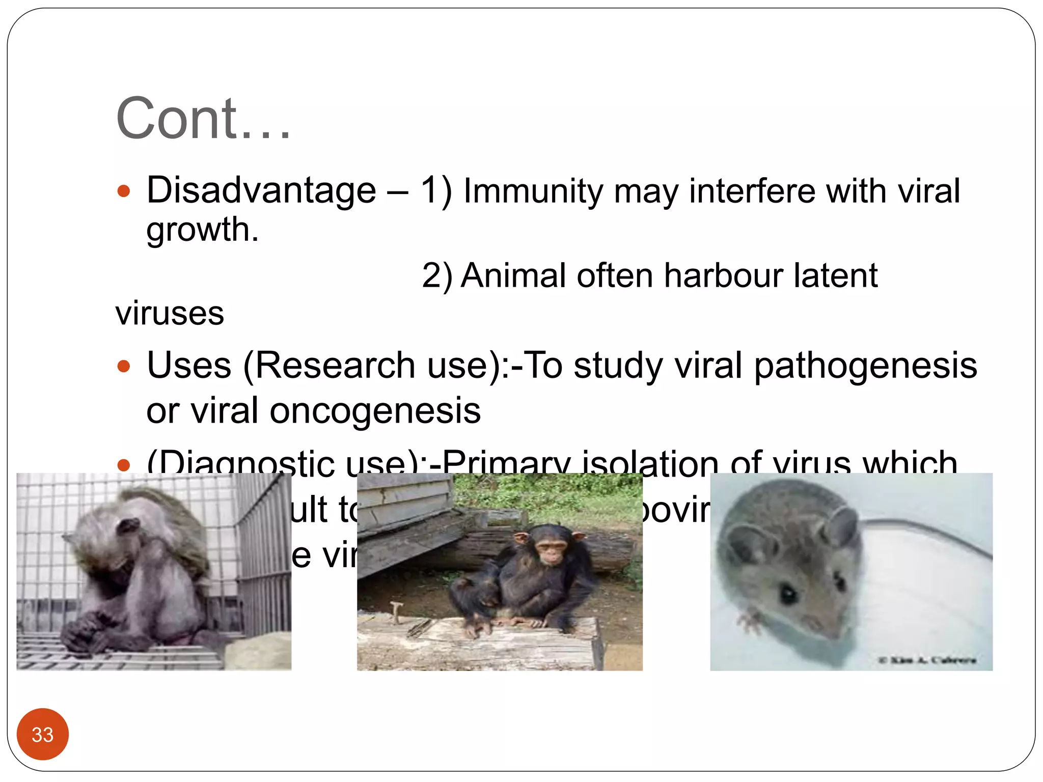 lab diagnosis of viral infections - mayuri.pptx