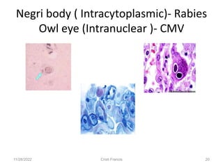 lab diagnosis of viral infections - mayuri.pptx