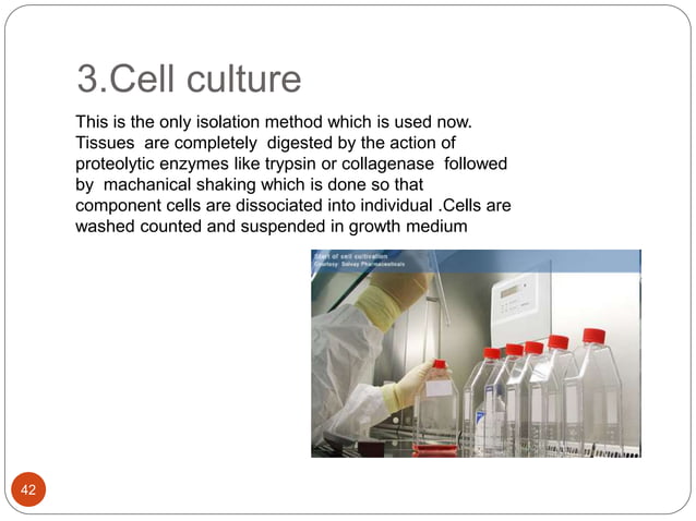 lab diagnosis of viral infections - mayuri.pptx