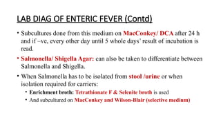 lab diagnosis salmonella for medical students.pptx