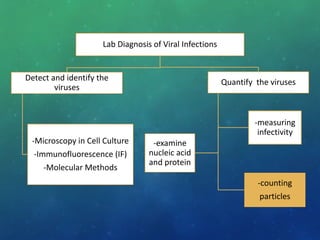 Lab diagnosis of viral infection | PPT
