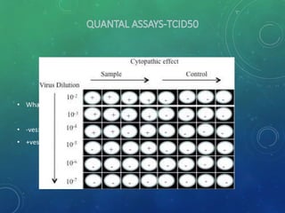 Lab diagnosis of viral infection | PPT