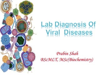 Lab dig virus | PPT