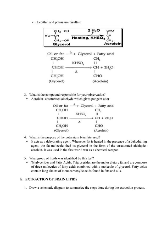 Lab Document_Lipids.docx | Chemistry | Science