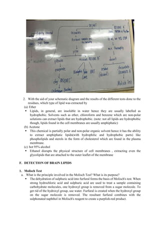 Lab Document_Lipids.docx