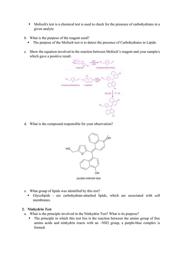 Lab Document_Lipids.docx | Chemistry | Science