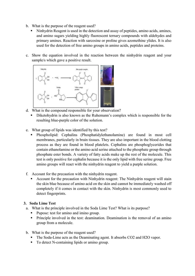 Lab Document_Lipids.docx | Chemistry | Science