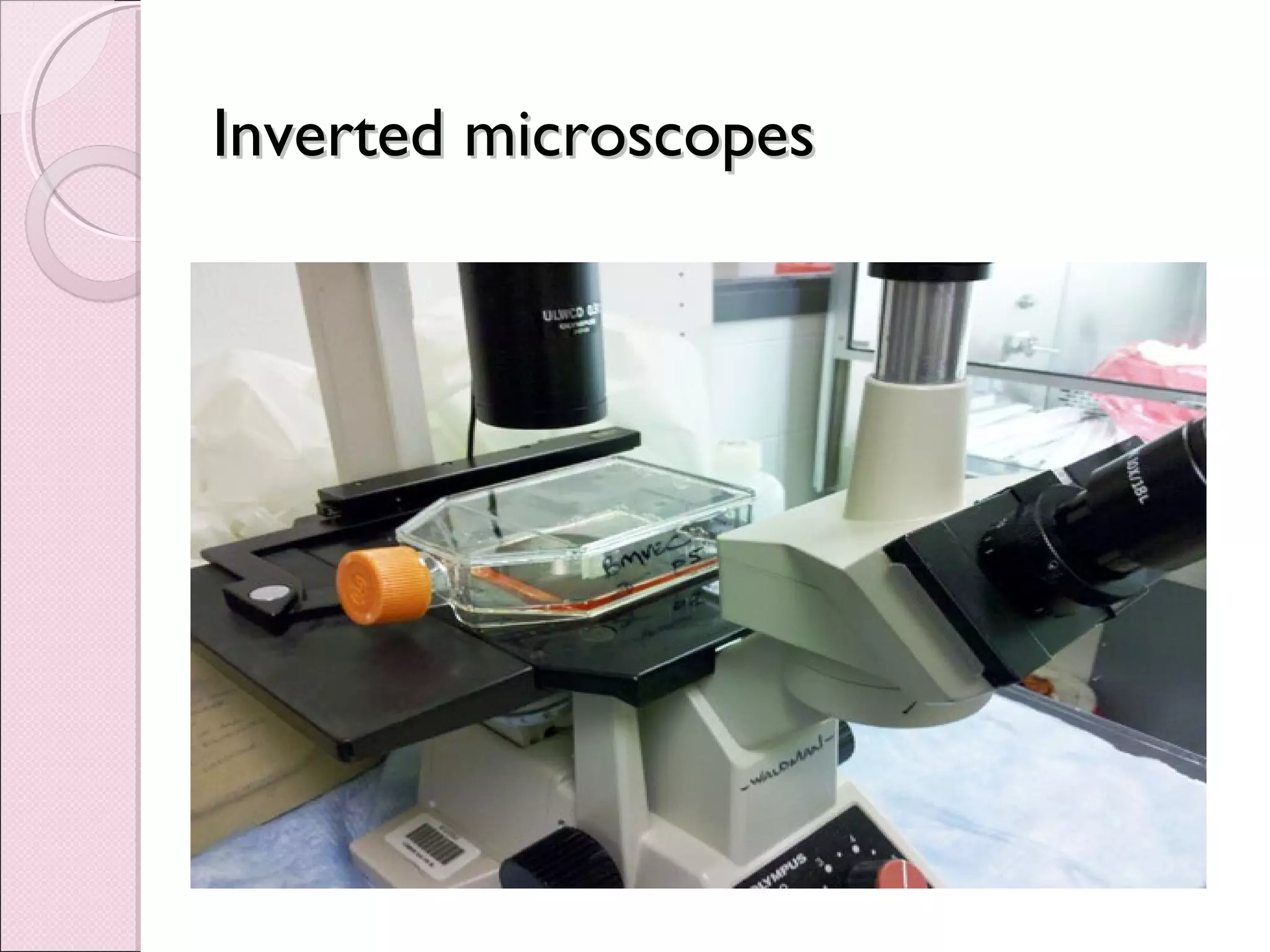 Laboratory diagnosis of viral infection | PPT