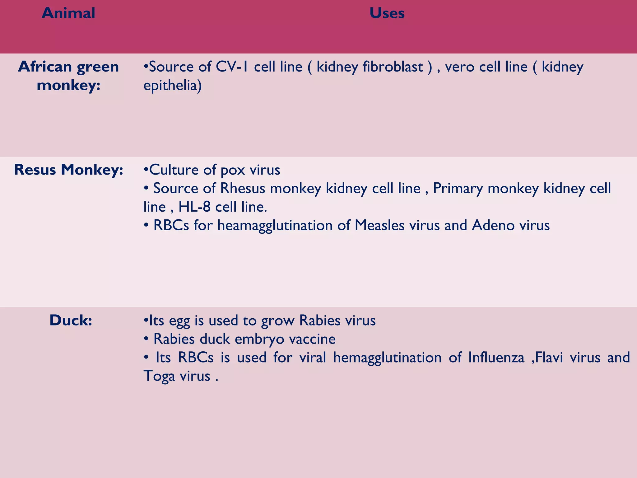 Laboratory diagnosis of viral infection | PPT | Infectious Diseases ...