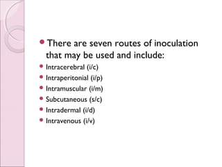Laboratory diagnosis of viral infection | PPT