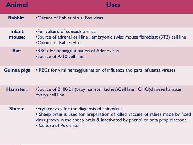 Laboratory diagnosis of viral infection | PPT | Infectious Diseases ...