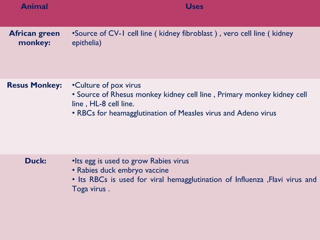 Laboratory diagnosis of viral infection | PPT | Infectious Diseases ...