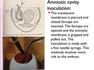 Laboratory diagnosis of viral infection | PPT