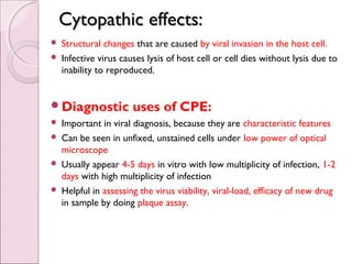 Laboratory diagnosis of viral infection | PPT