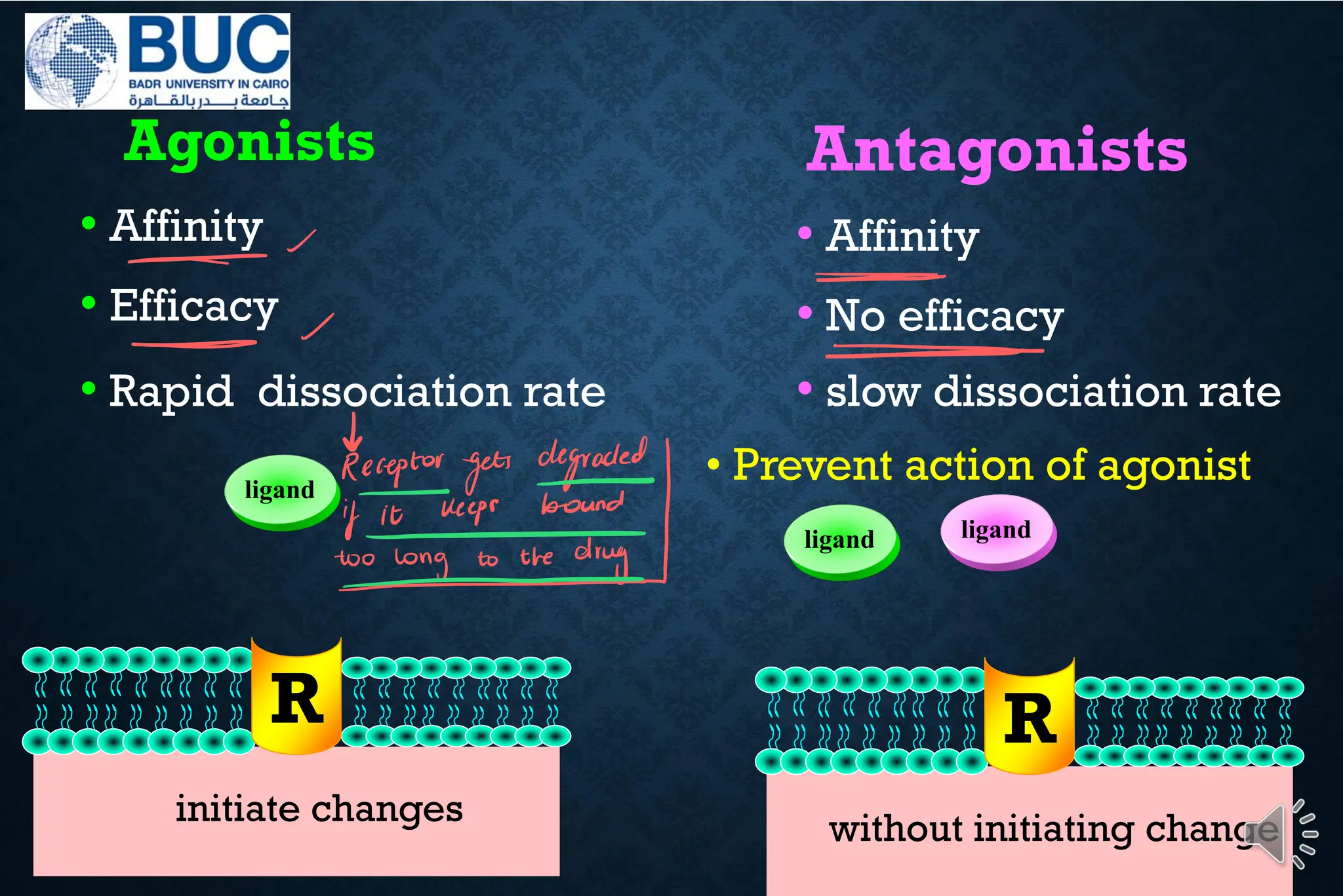 dose response curve - pharmacology notes | PDF