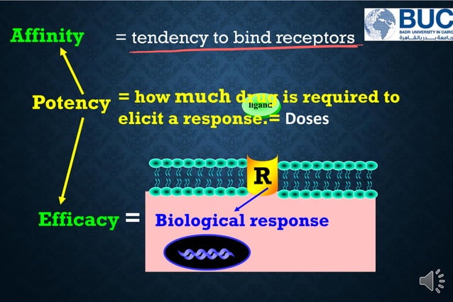 dose response curve - pharmacology notes | PDF