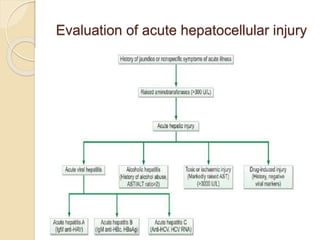 Laboratory Diagnosis of Jaundice | PPTX