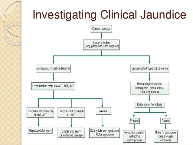 Laboratory Diagnosis of Jaundice