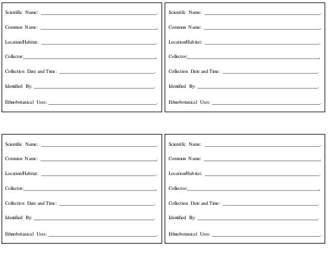 Plant Identification Template Herbarium Vorlage Etiketten Vorlagen Plant Identification Template Herbarium Vorlage Etiketten Vorlagen