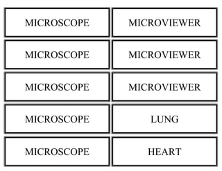 LABEL BIOLOGY makmal sains sekolah menengah | PPT
