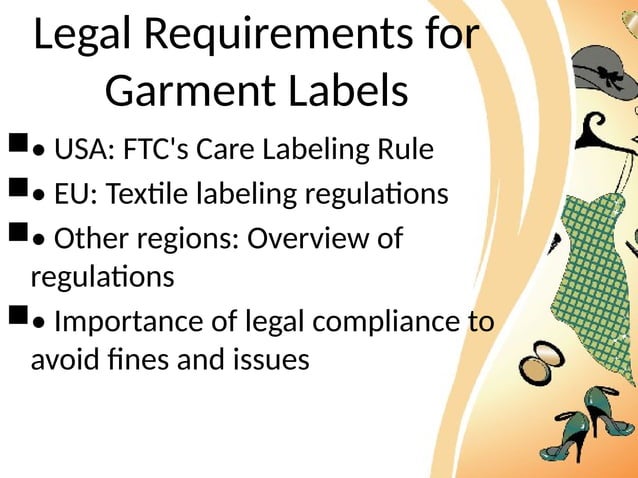 Labeling_of_Garments topic presentation.pptx