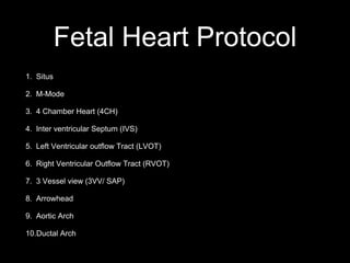Labelled fetal heart ultrasound | PPTX