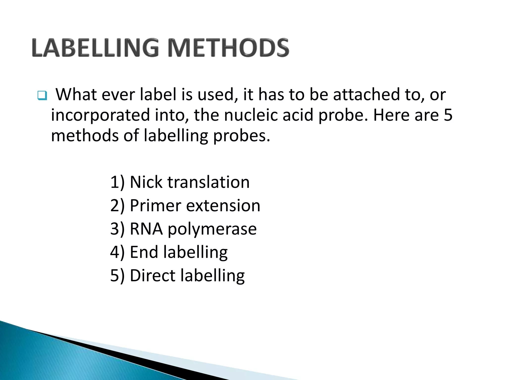 Labelling of dna | PPTX
