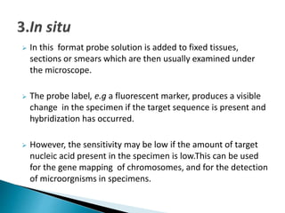 Labelling of dna | PPTX