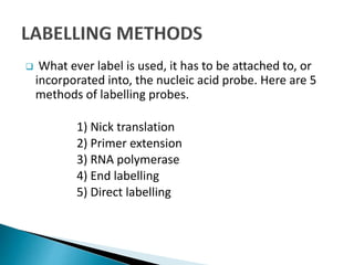 Labelling of dna | PPTX