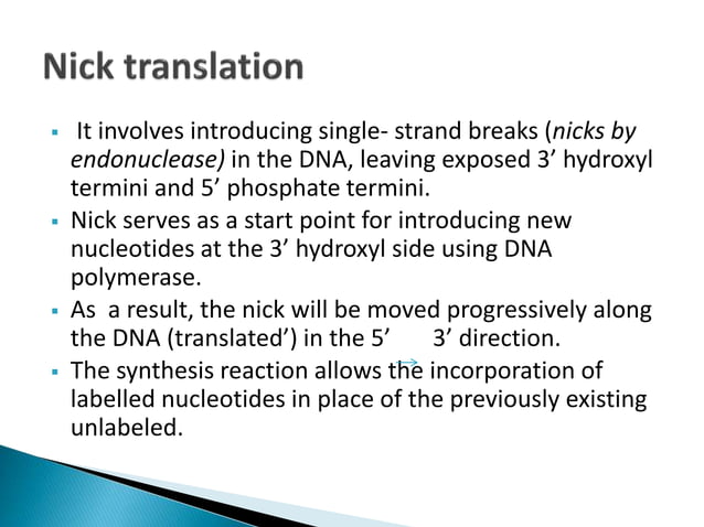 Labelling of dna | PPTX