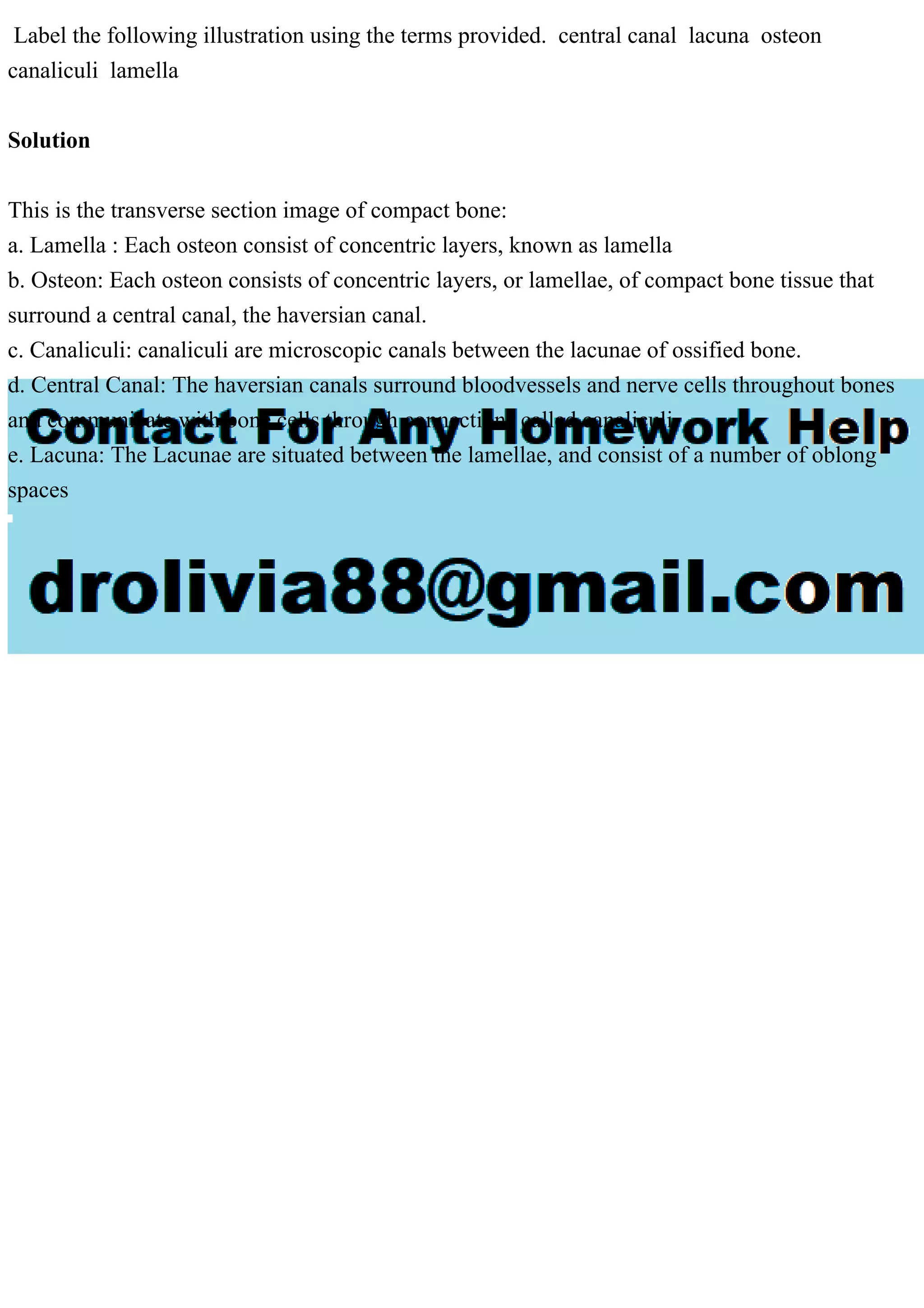 Label the following illustration using the terms provided. central c.pdf