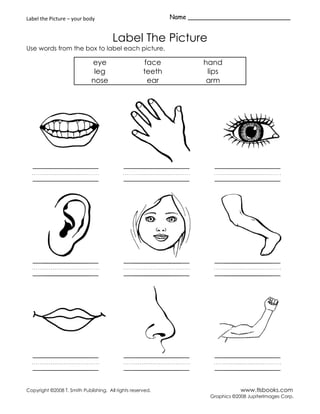 Labelthepictureyourbody | PDF