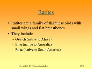 Labensky 6 ce_ch17 | PPT