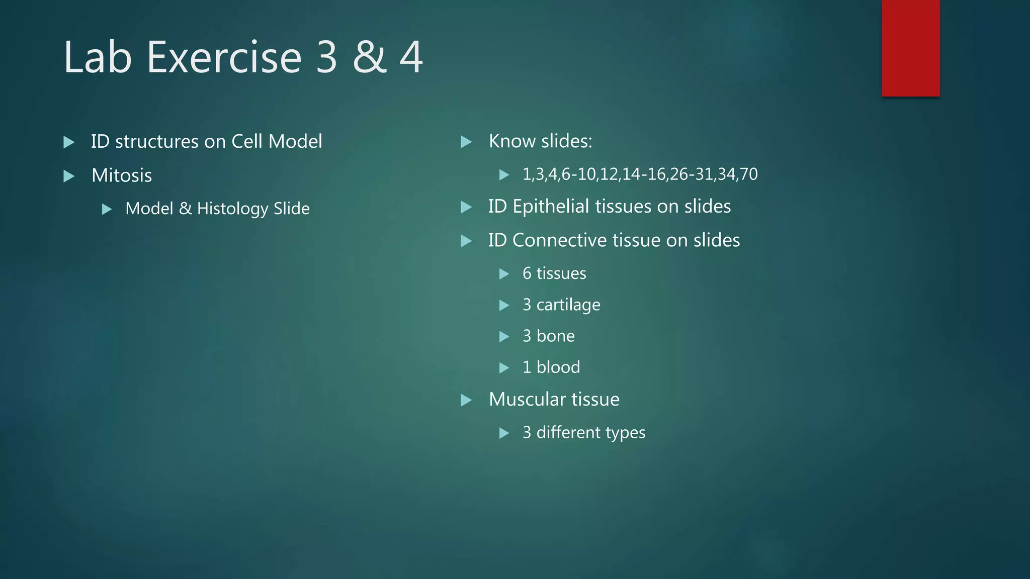 Anatomy Lab exam 1 | PPT
