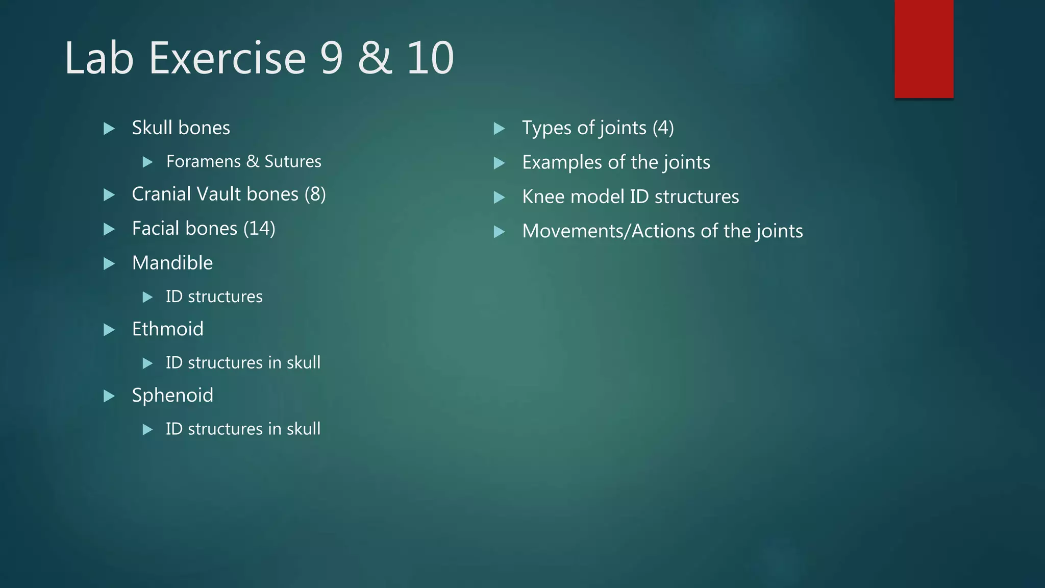 Anatomy Lab exam 1 | PPT