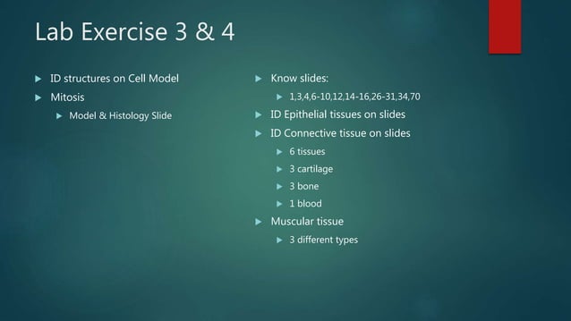 Anatomy Lab exam 1 | PPT