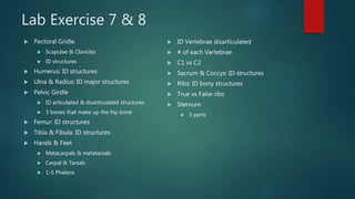 Anatomy Lab exam 1 | PPT