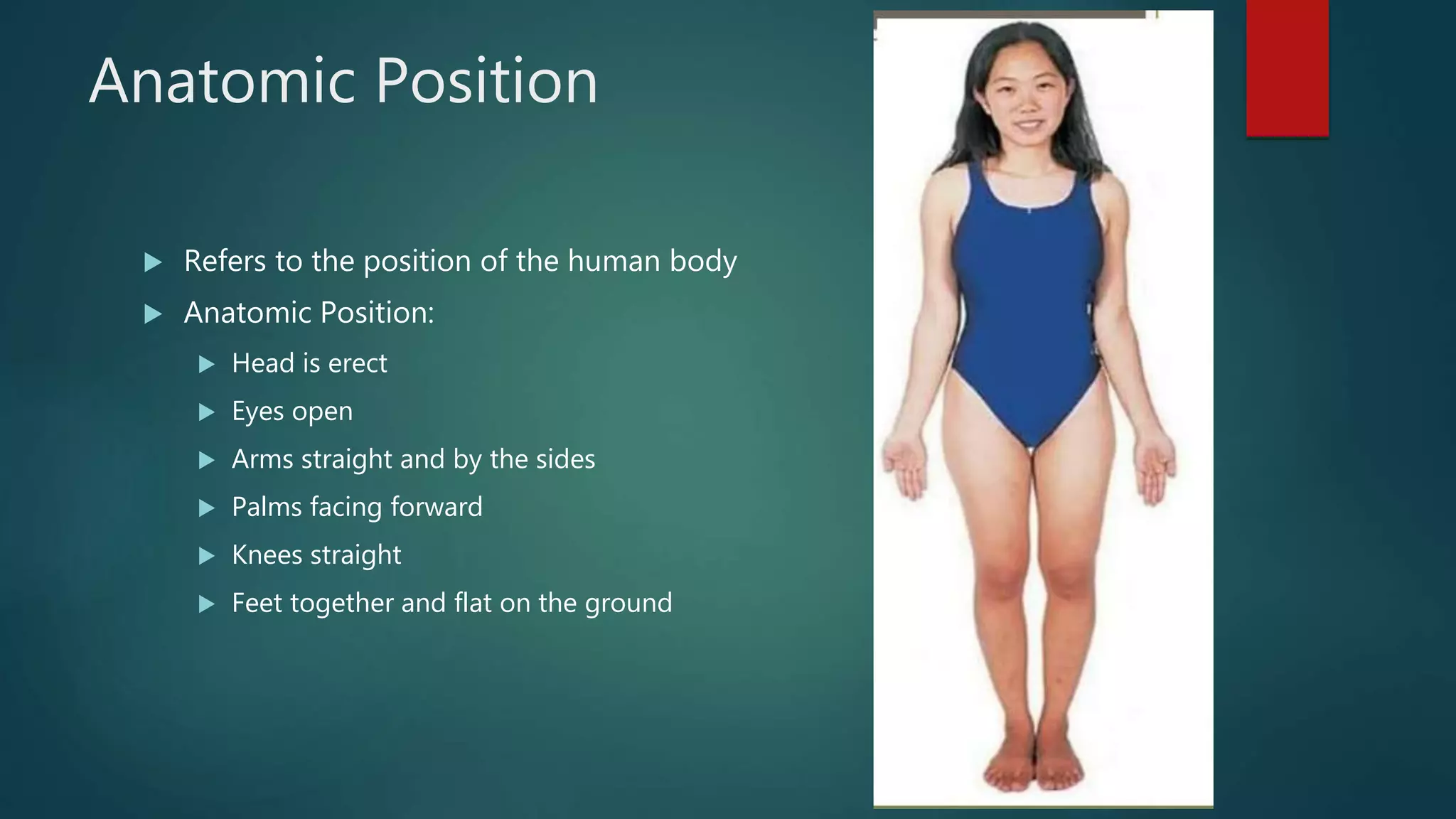 Anatomy Lab exercise 1 | PPT