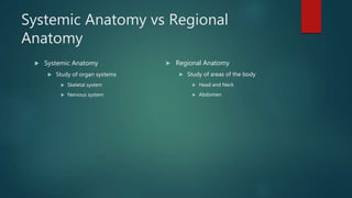 Anatomy Lab exercise 1 | PPT