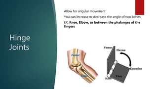 Anatomy Lab exercise 10 | PPT