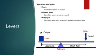 Anatomy Lab exercise 10 | PPT