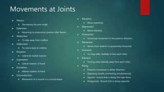 Anatomy Lab exercise 10 | PPT