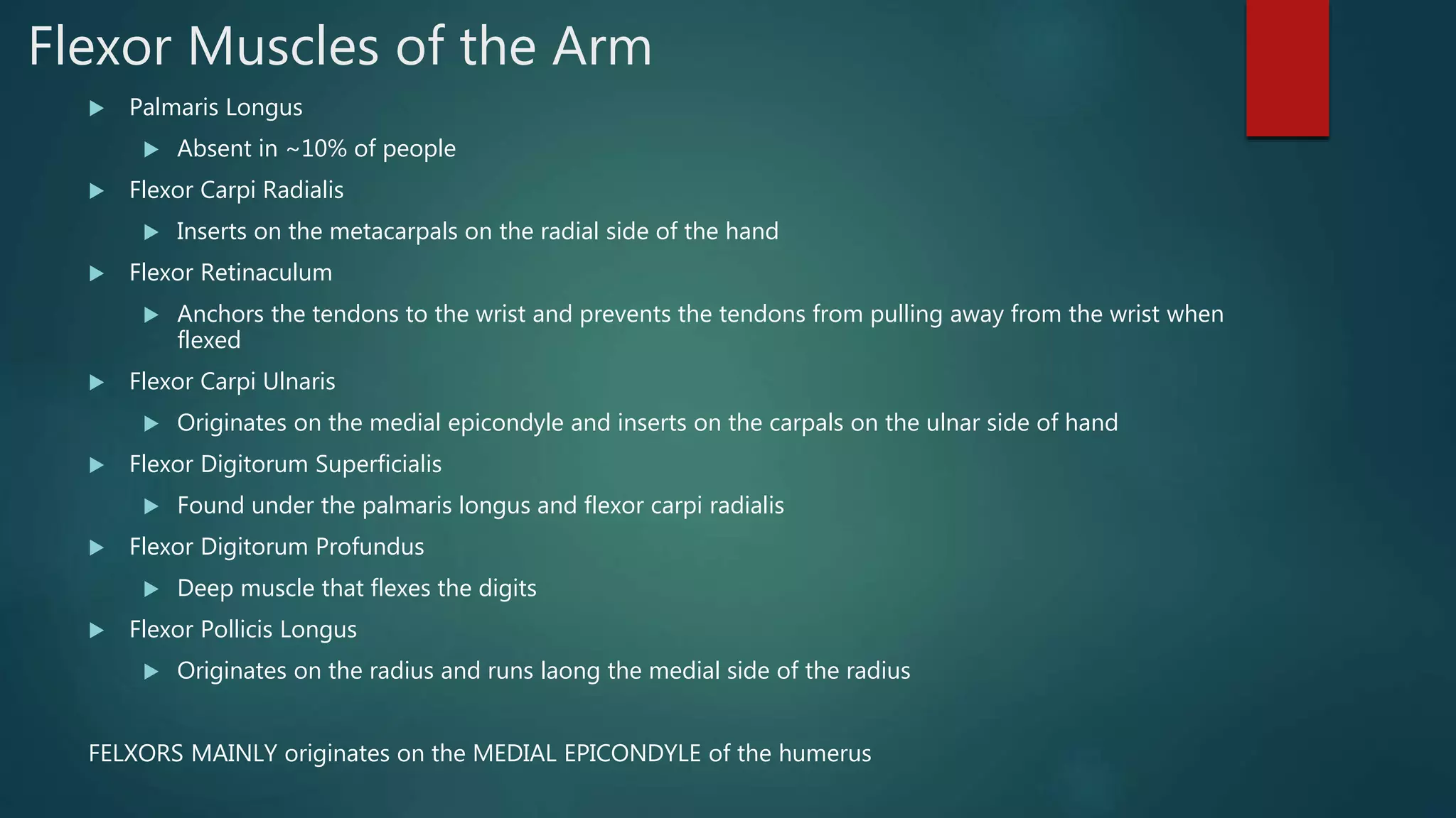 Anatomy Lab exercise 11 | PPT