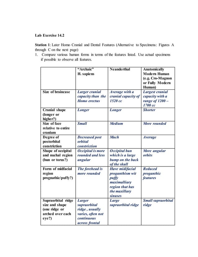 Lab exercise 12.1, 14.1 ,14.2 anthropology | DOCX