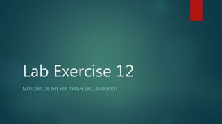 Anatomy Lab exercise 12 | PPT